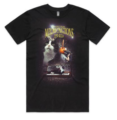 Professor Meowingtons