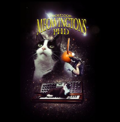 Professor Meowingtons